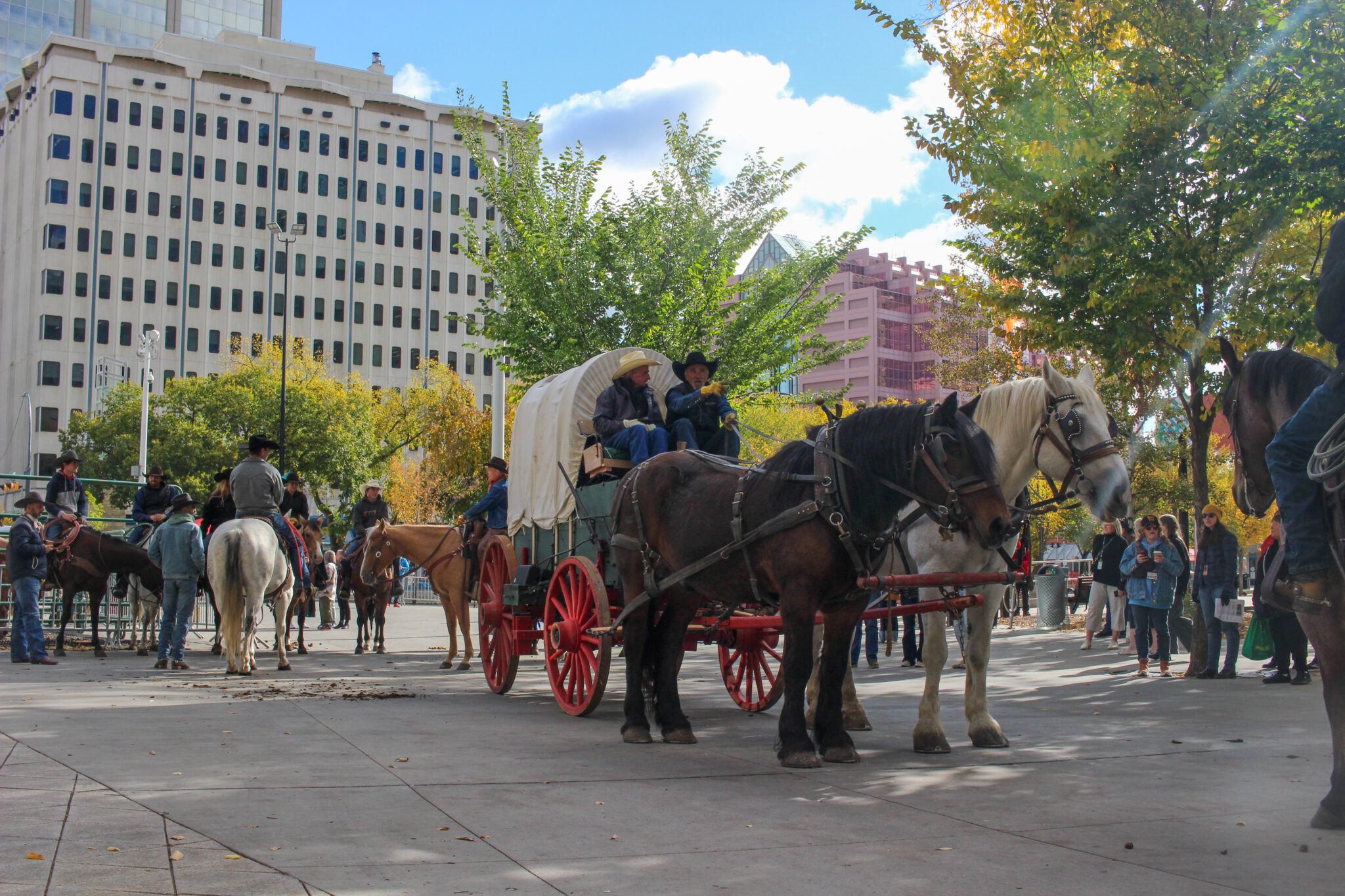 CFR51 – Canadian Finals Rodeo 2025 - Edmonton Downtown