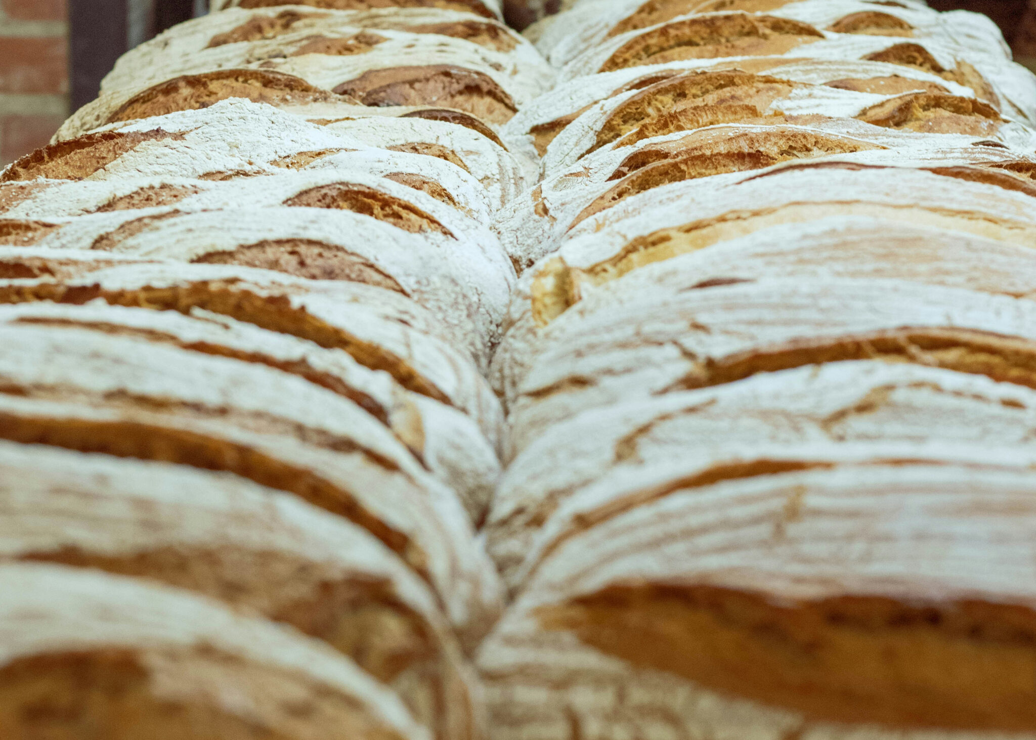 Downtown Farmers Market | Edmonton Downtown