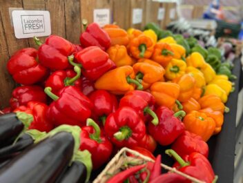 Downtown Farmers Market | Edmonton Downtown