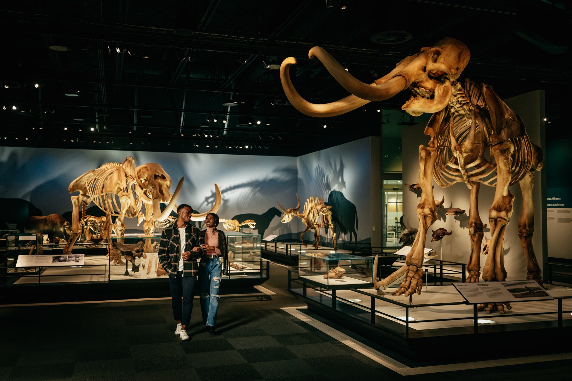 Mammoth Bites: Big Stories, Small Chunks - Edmonton Downtown